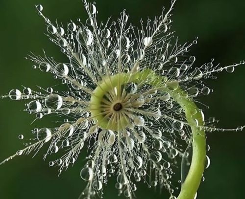 50-most-beautiful-pictures-of-the-internet - Ftoutreach